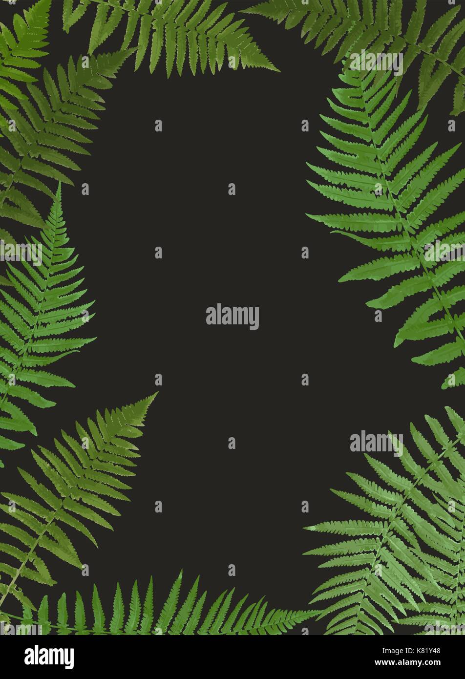 Fern Leaf Vector Background Illustration Stock Vector Image & Art - Alamy