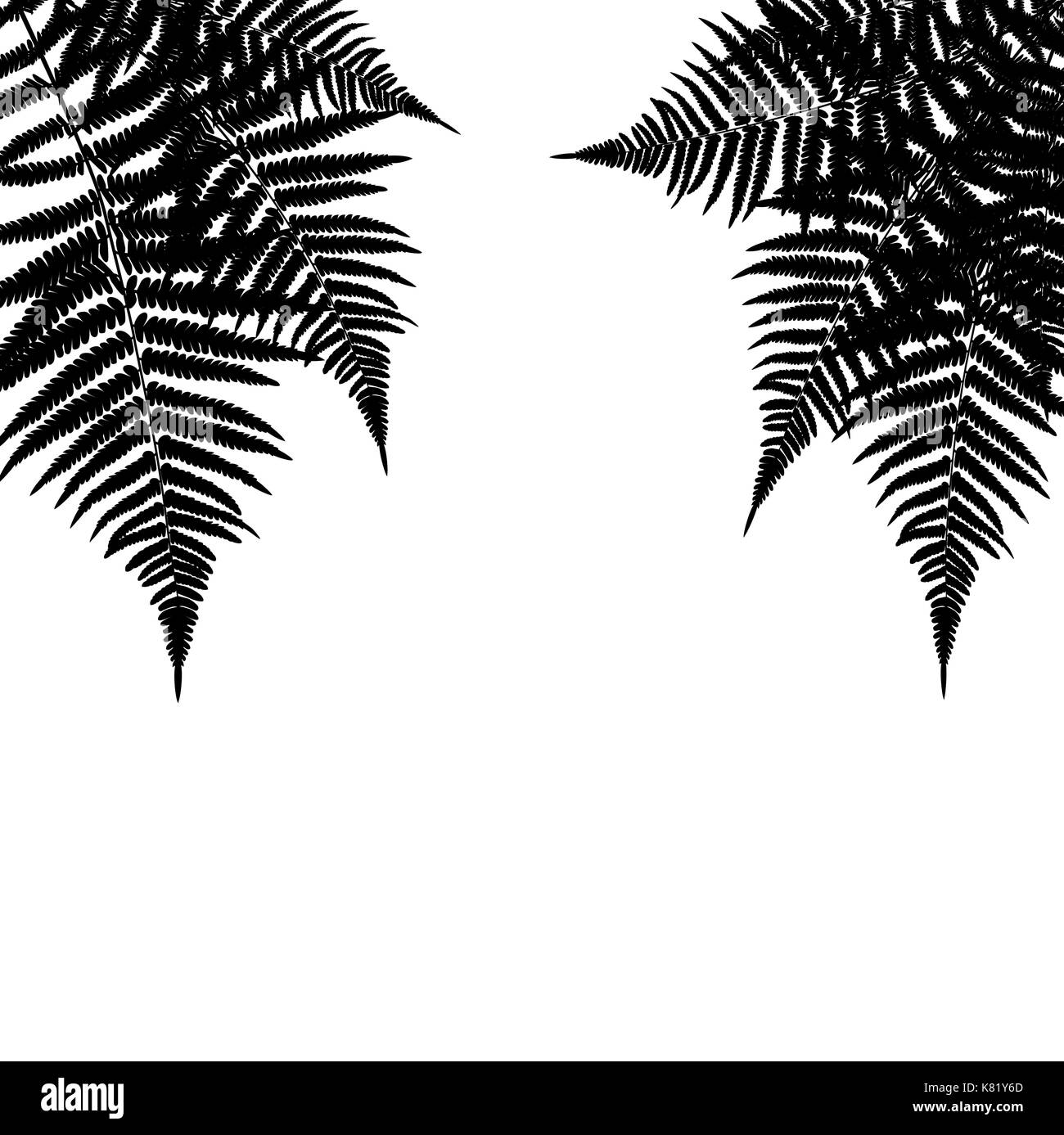 Fern Leaf Vector Background Illustration Stock Vector Image & Art - Alamy