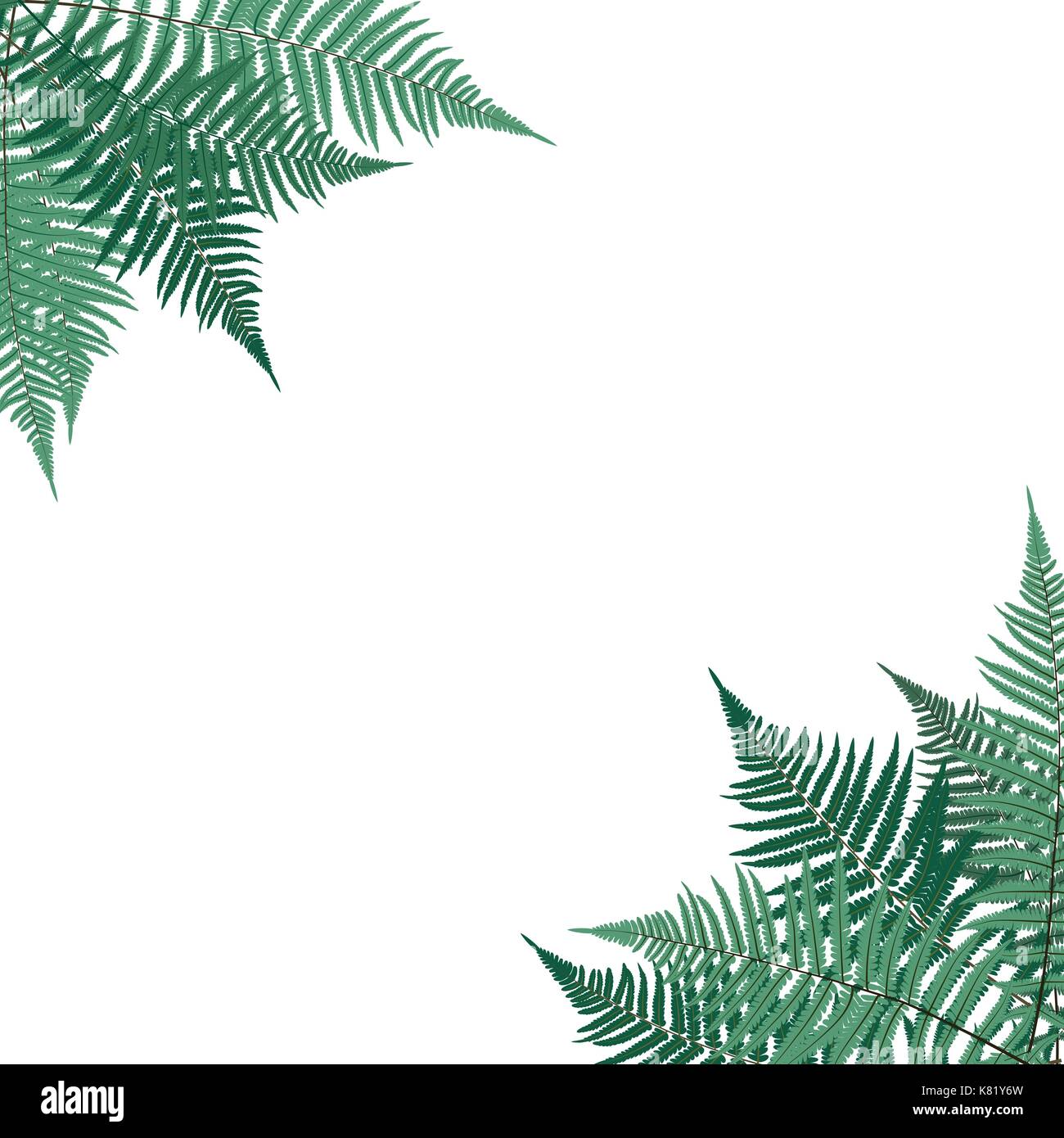 Fern Leaf Vector Background Illustration Stock Vector Image & Art - Alamy