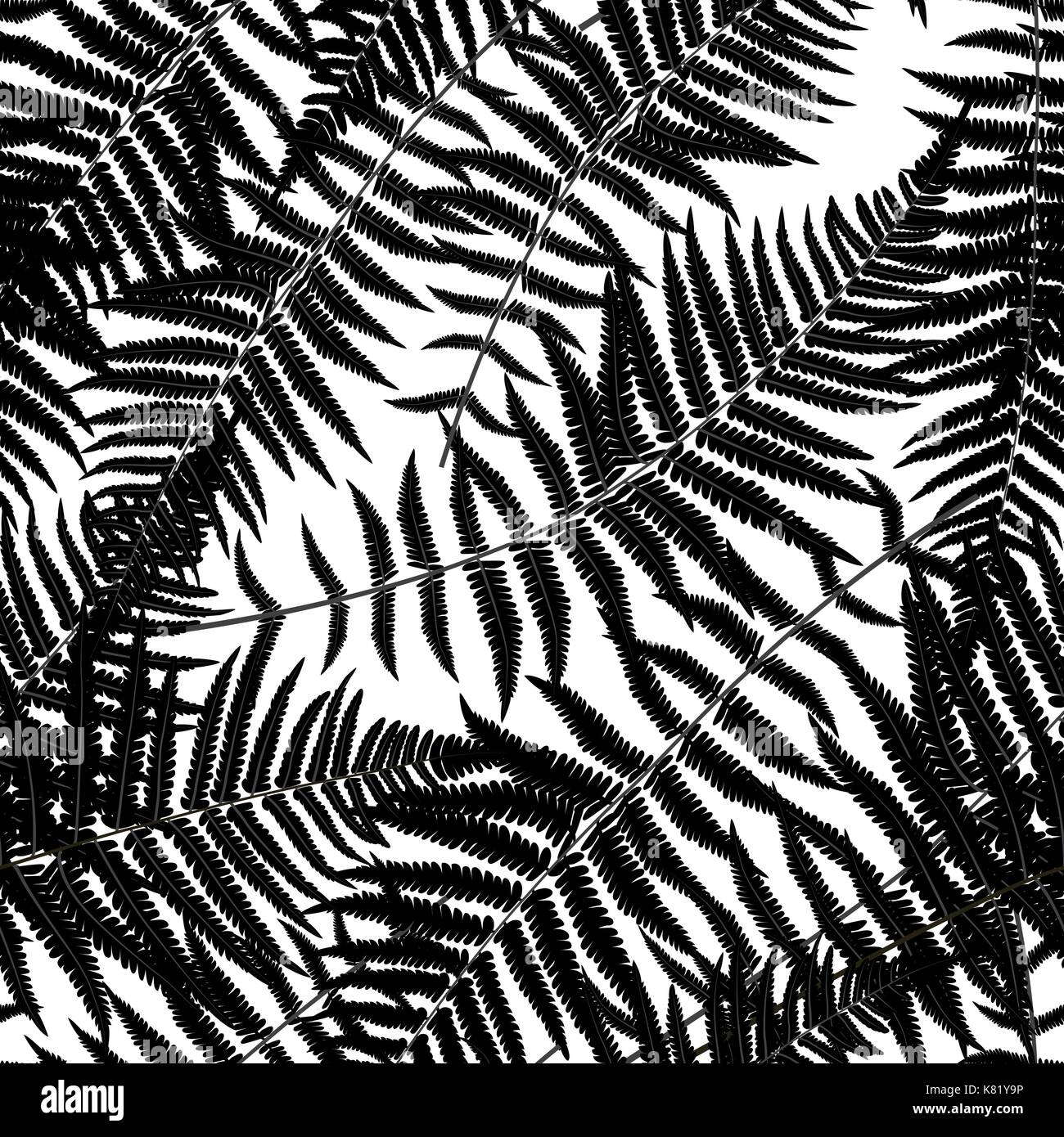 Fern Leaf Vector