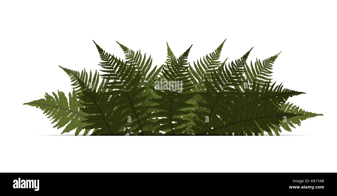 Vector illustration leaf white background Cut Out Stock Images ...