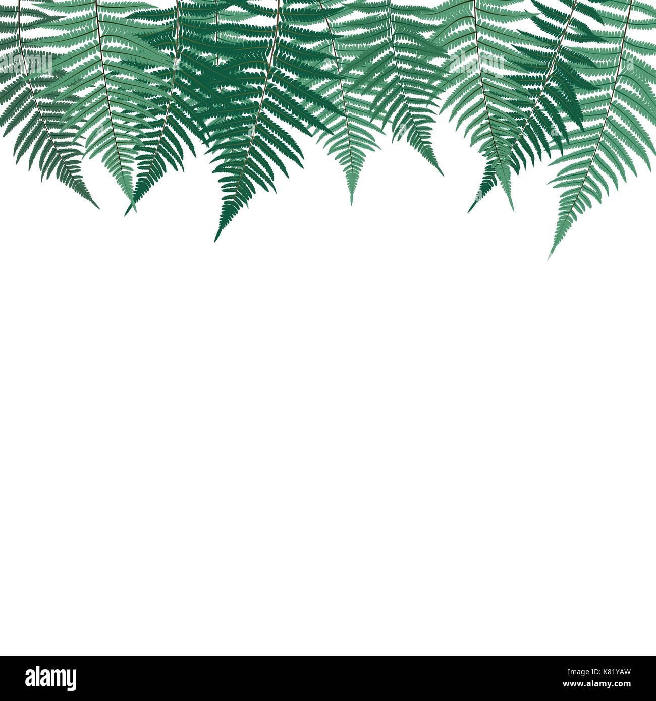 Fern Leaf Vector Background Illustration Stock Vector Image & Art - Alamy