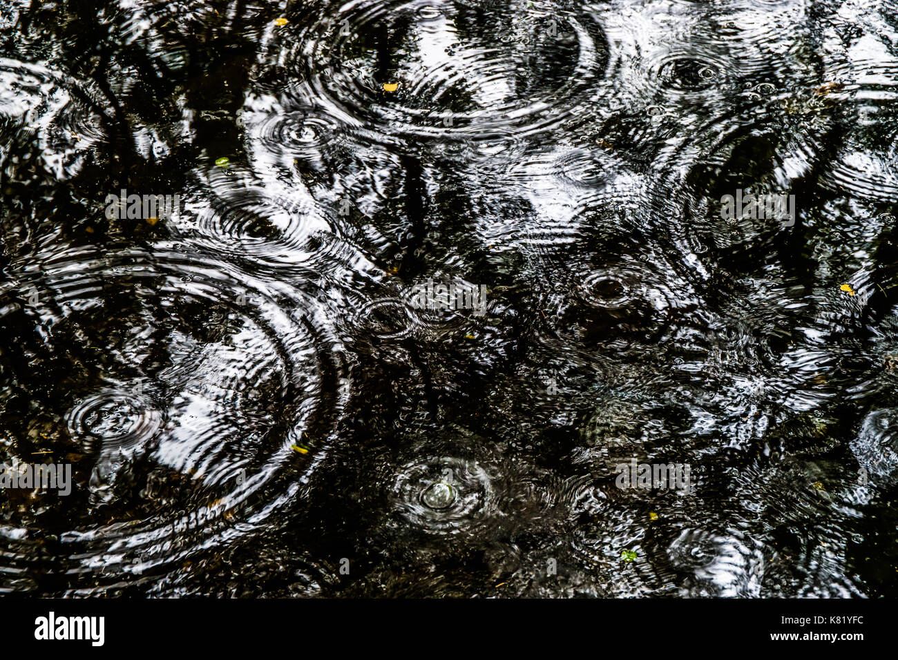 Raindrops falling on a lake causing ripples Stock Photo - Alamy