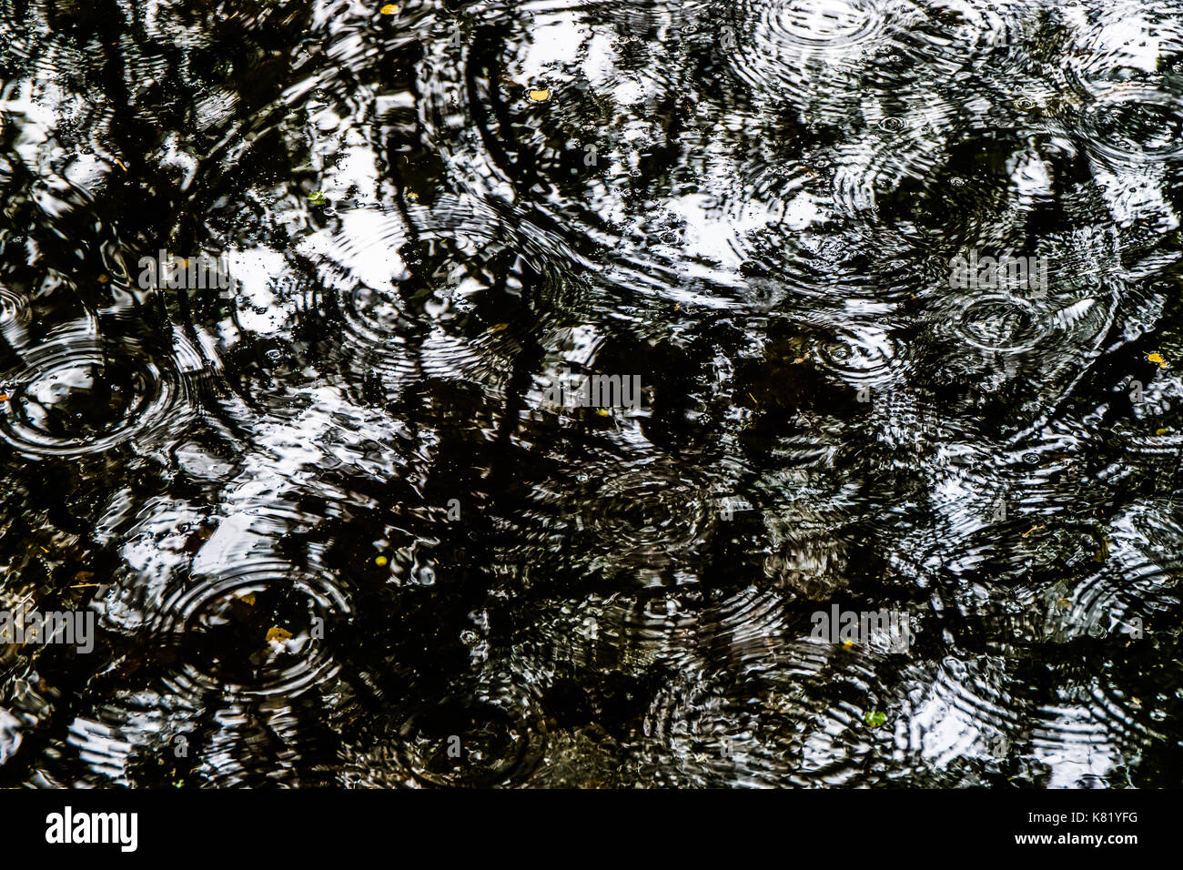 Raindrops falling on a lake causing ripples Stock Photo - Alamy