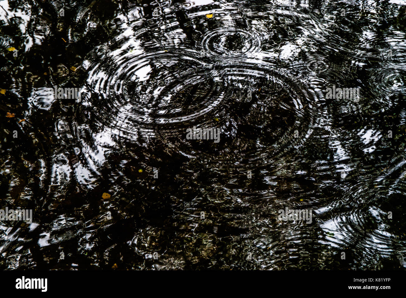 Ripples lake hi-res stock photography and images - Alamy