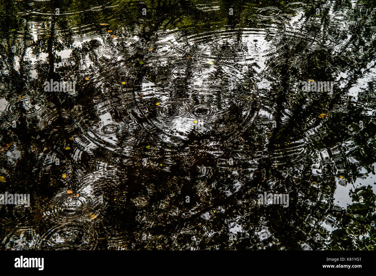 Causing ripples hi-res stock photography and images - Alamy