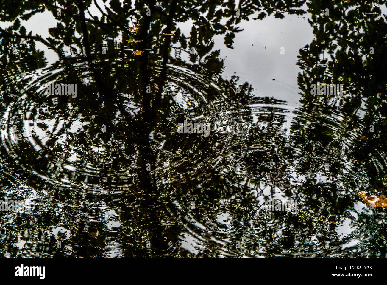 Ripples lake hi-res stock photography and images - Alamy