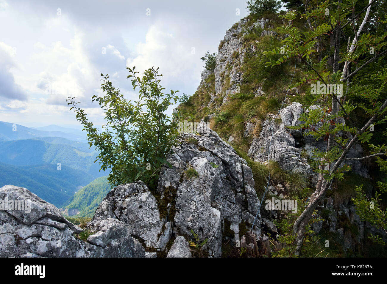 Landscape with limestone mountains covered in deciduous forests Stock ...