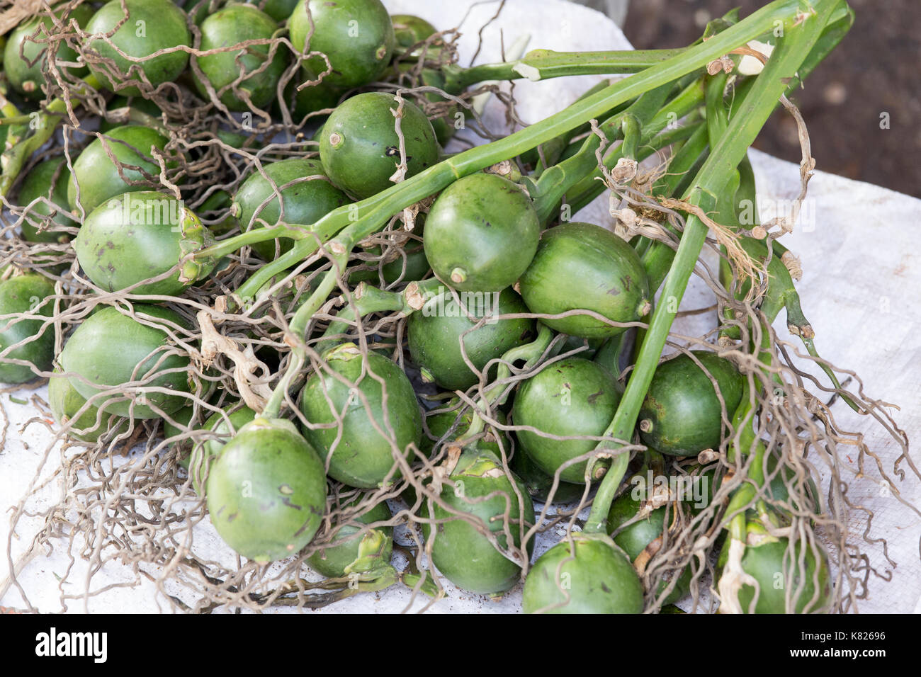 Vietnamese Fruit Trees