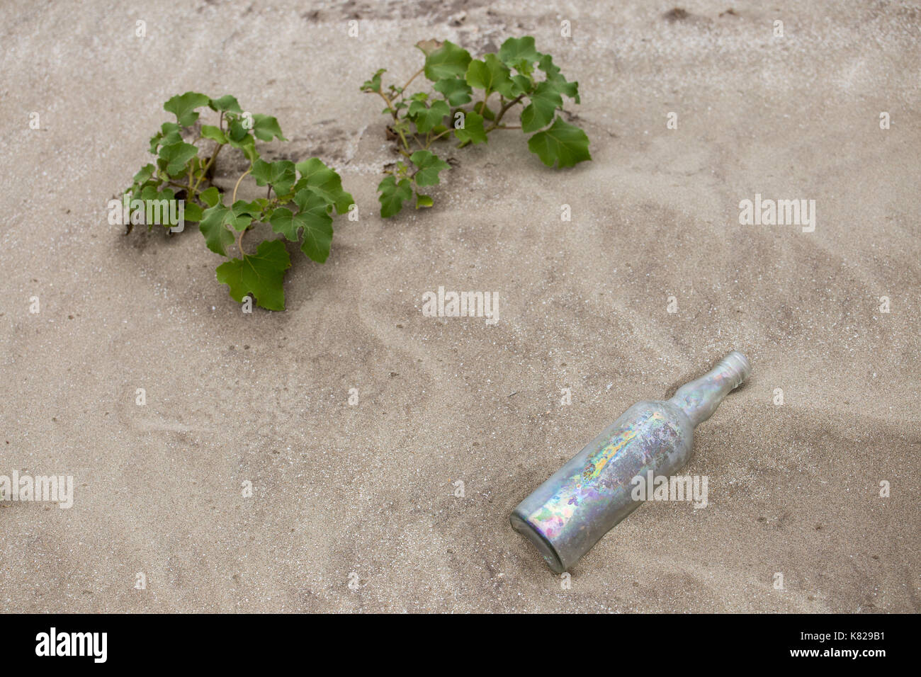 Empty ship in bottle hi-res stock photography and images - Alamy