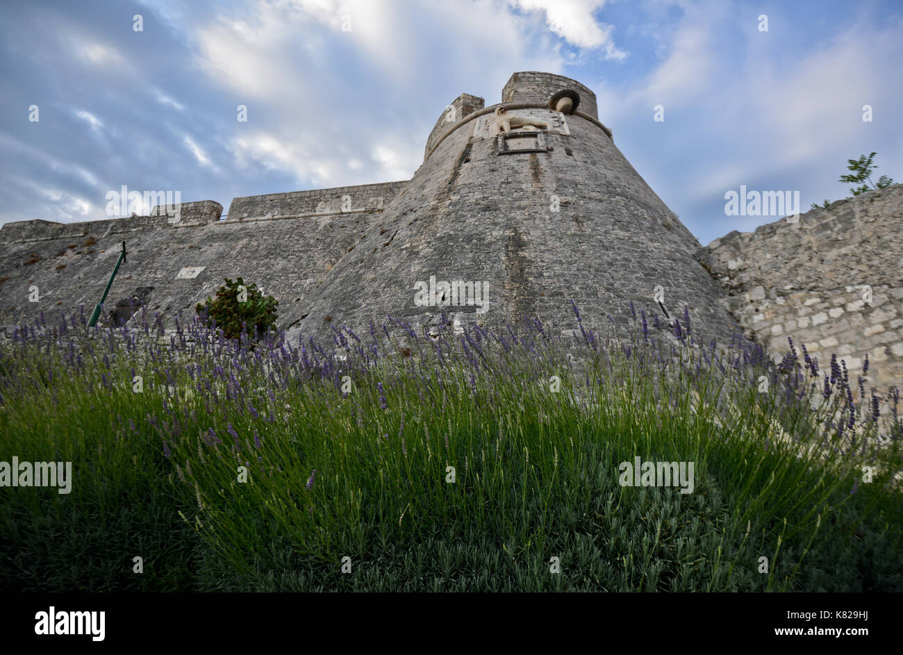 Fortica hi-res stock photography and images - Alamy