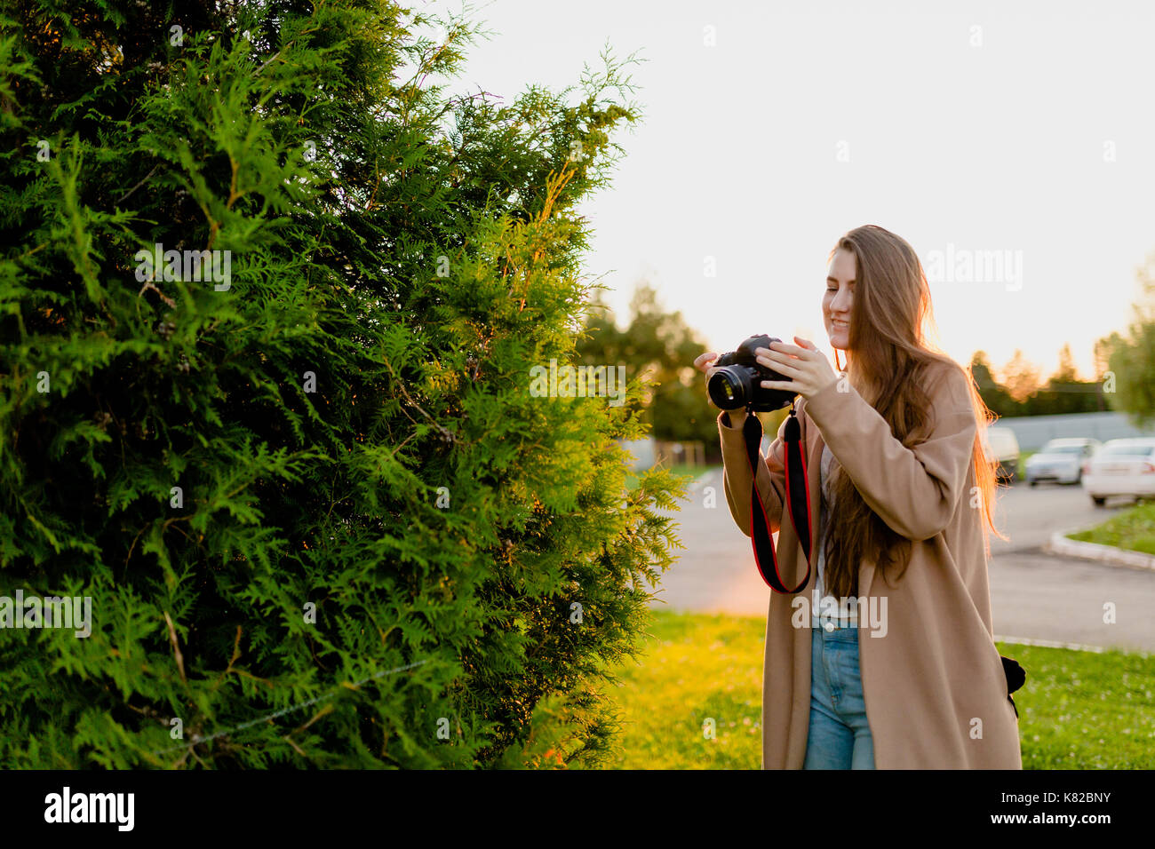 Woman photographer watching photos Stock Photo - Alamy