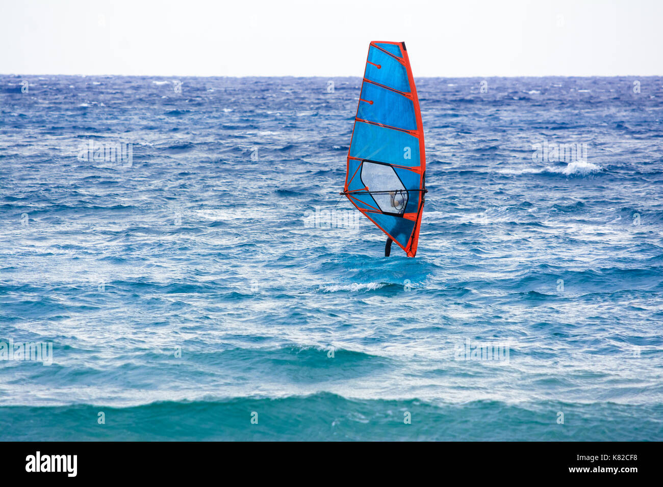 windsurfer that drives its windsurfing speed through the sparkling ...