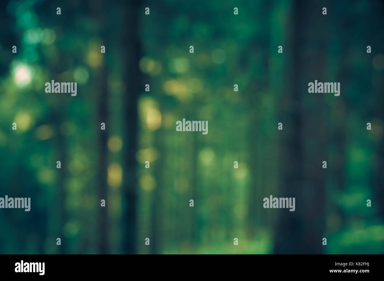 Green natural background of out of focus forest or bokeh Stock Photo ...