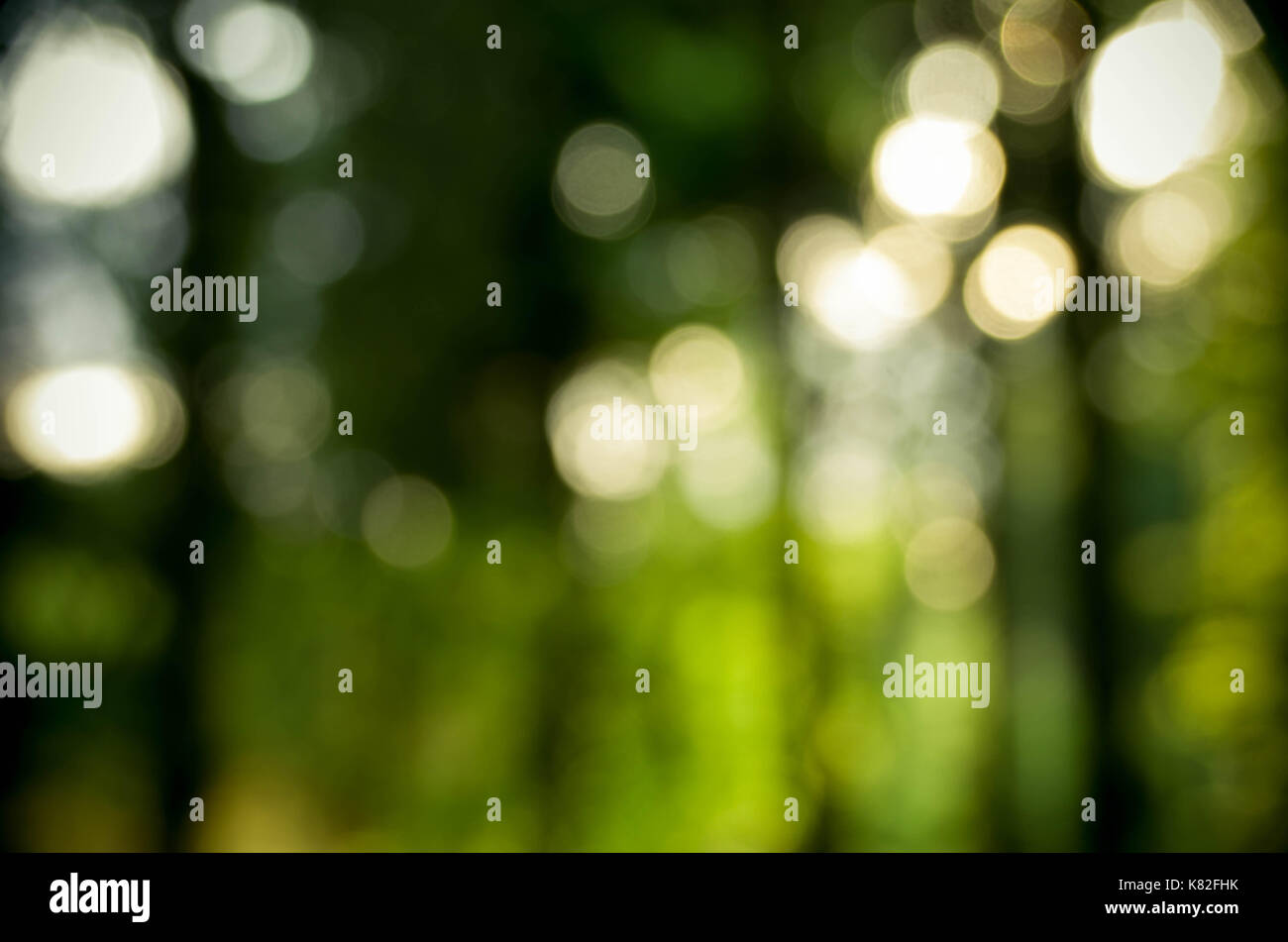 Green natural background of out of focus forest or bokeh Stock Photo ...