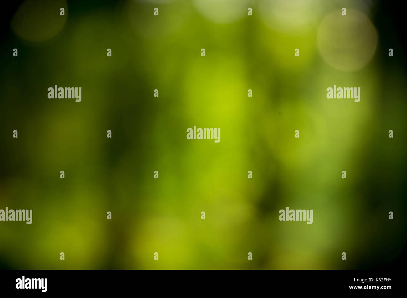 Out of focus forest hi-res stock photography and images - Alamy