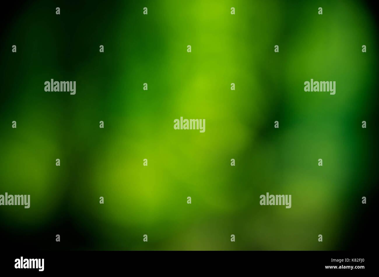 Green natural background of out of focus forest or bokeh Stock Photo ...