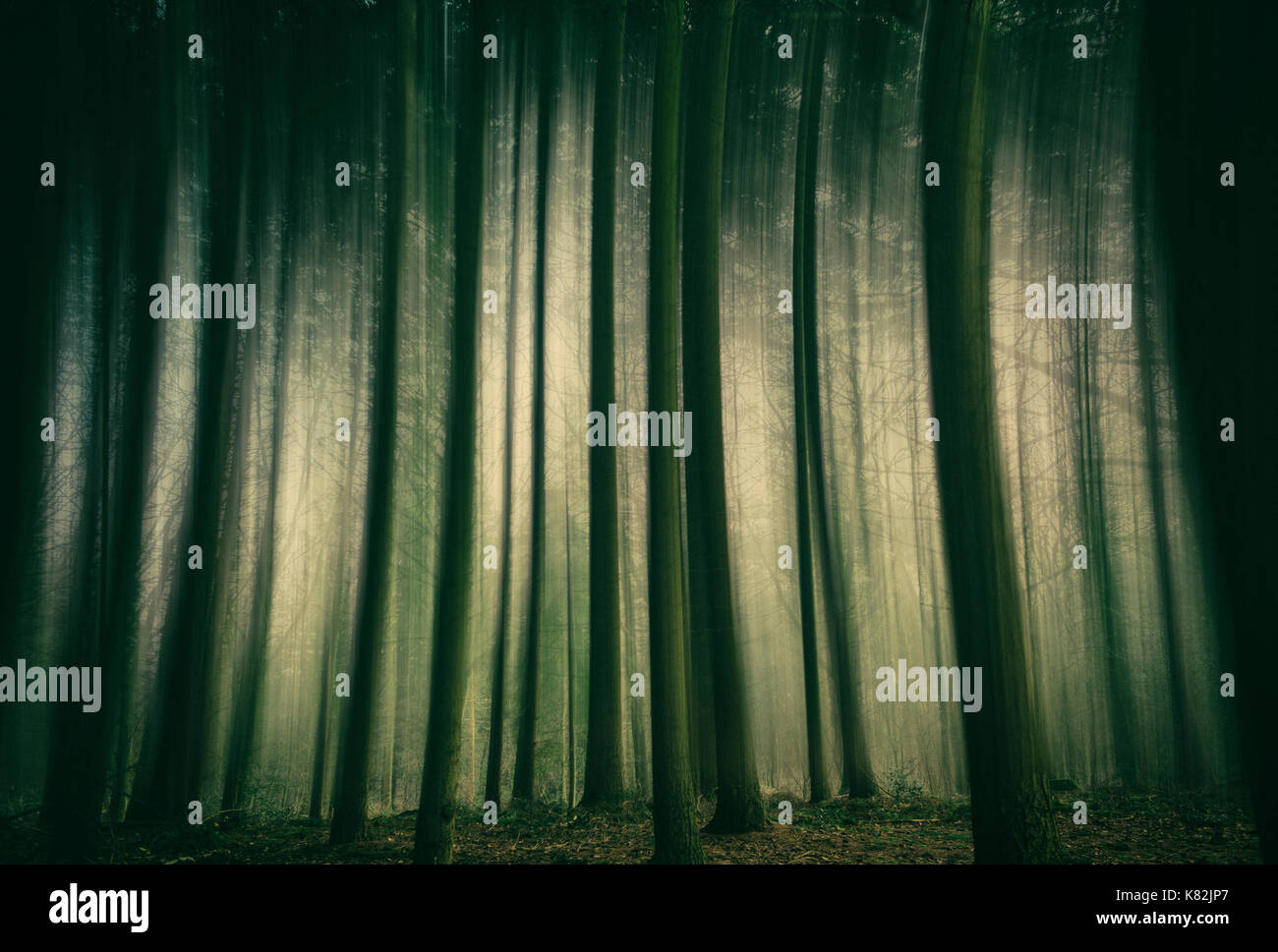 Abstract shapes in nature photography hi-res stock photography and ...