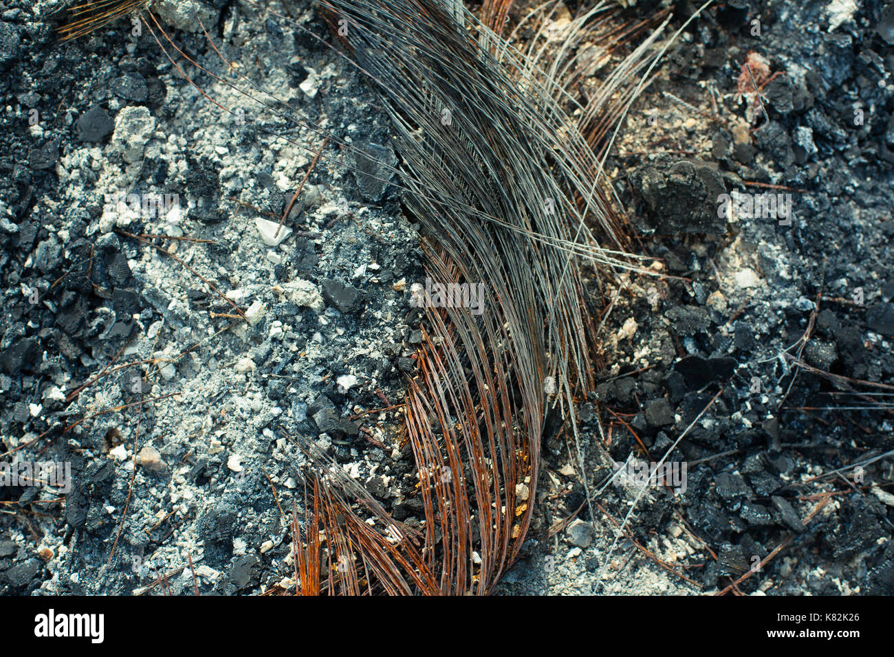 Bead wire tyre hi-res stock photography and images - Alamy