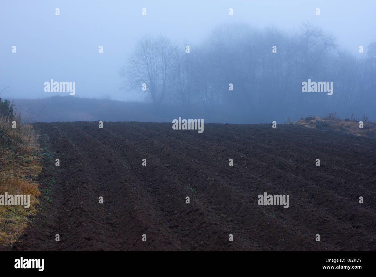 Wet ploughed field hi-res stock photography and images - Alamy