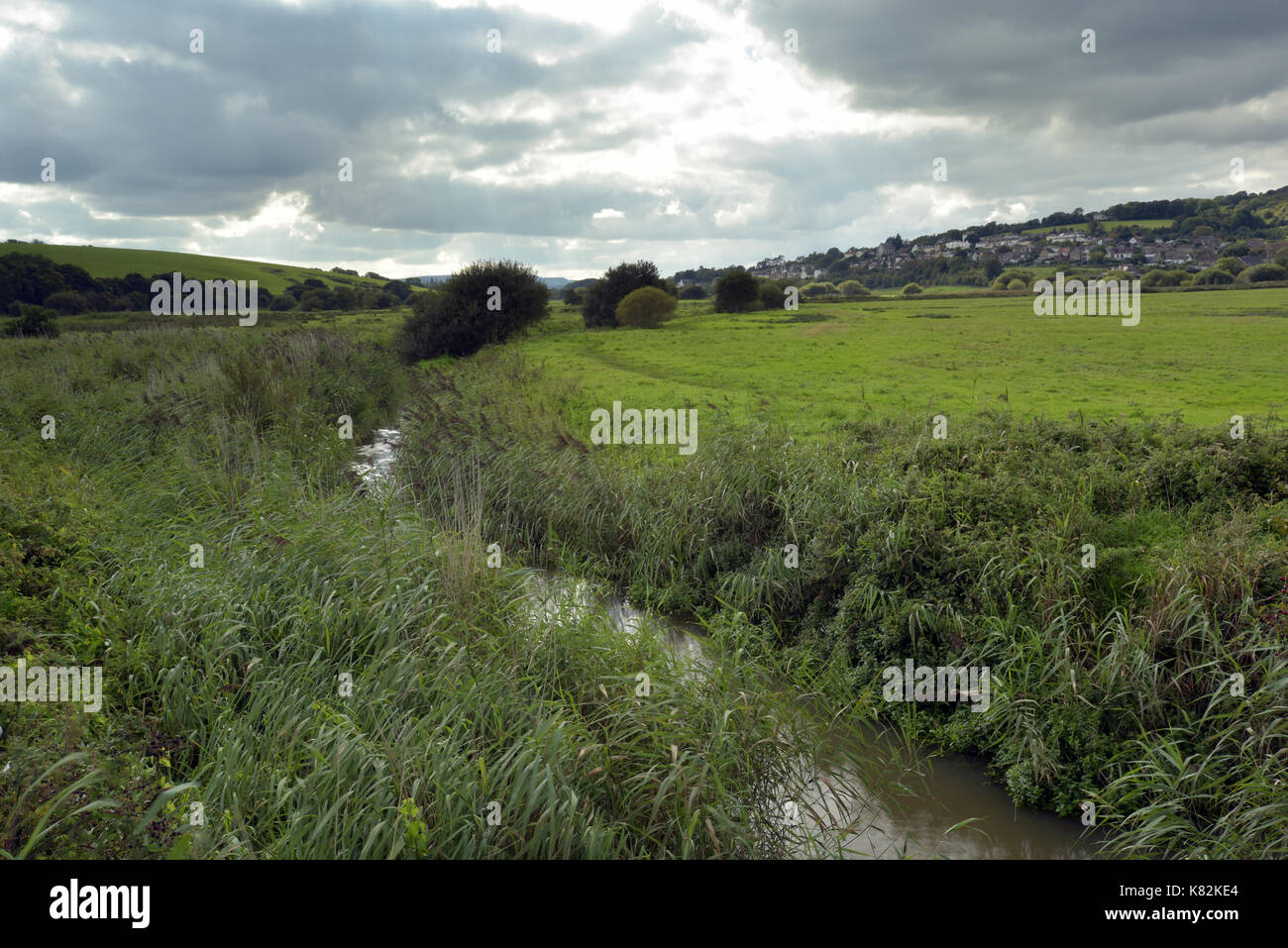 Rspb brading marshes hi-res stock photography and images - Alamy