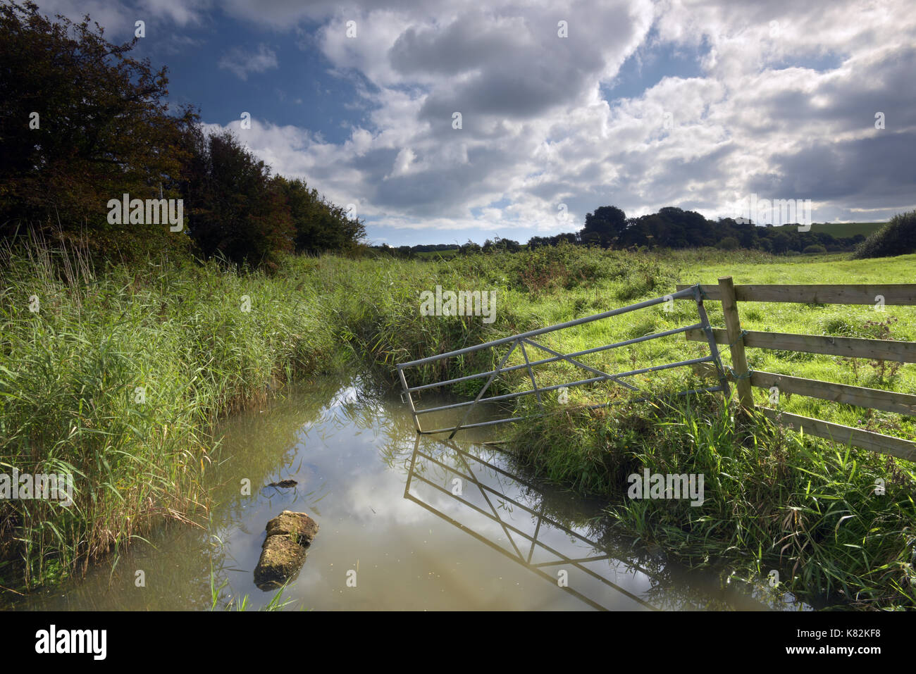 A view of the RSPB nature reserve at Brading on the Isle of Wight with ...