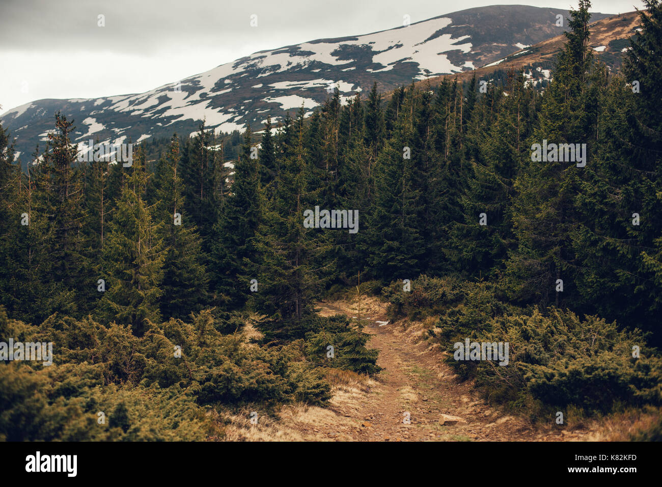 landscape in mountains Carpathians Ukraine, Dragobrat Stock Photo - Alamy