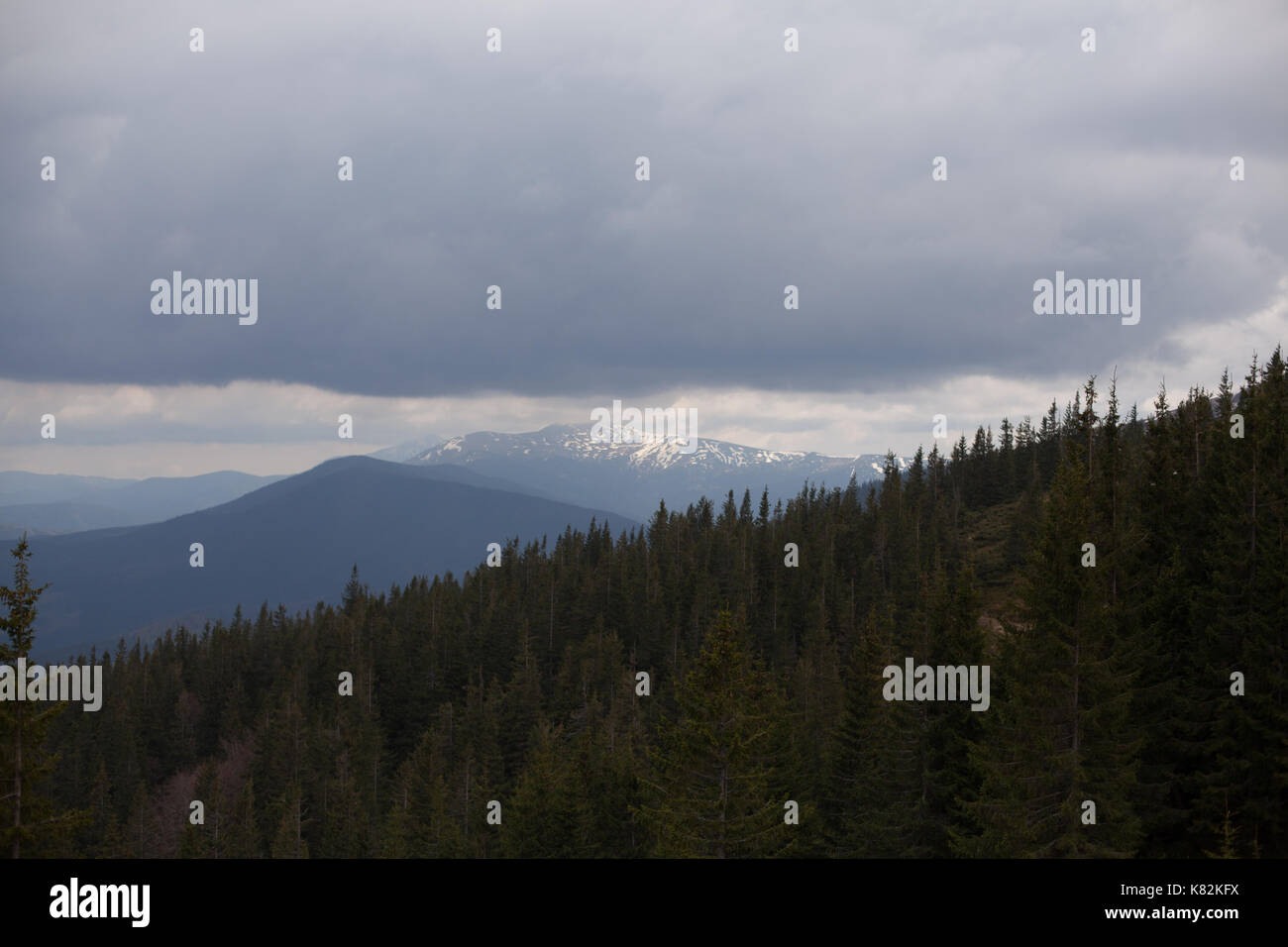 landscape in mountains Carpathians Ukraine, Dragobrat Stock Photo - Alamy