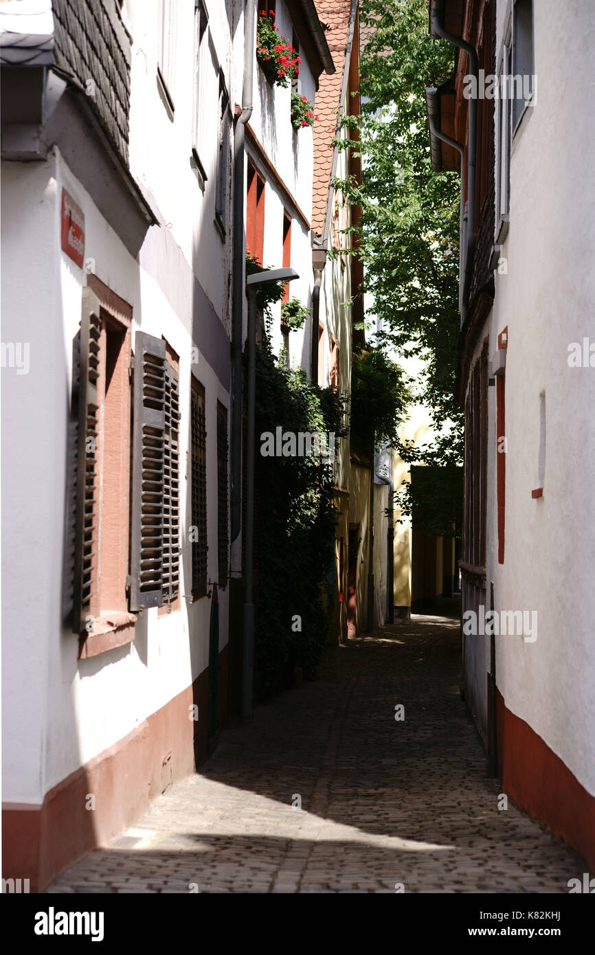 The photograph of a narrow alley between two buildings with a backyard ...