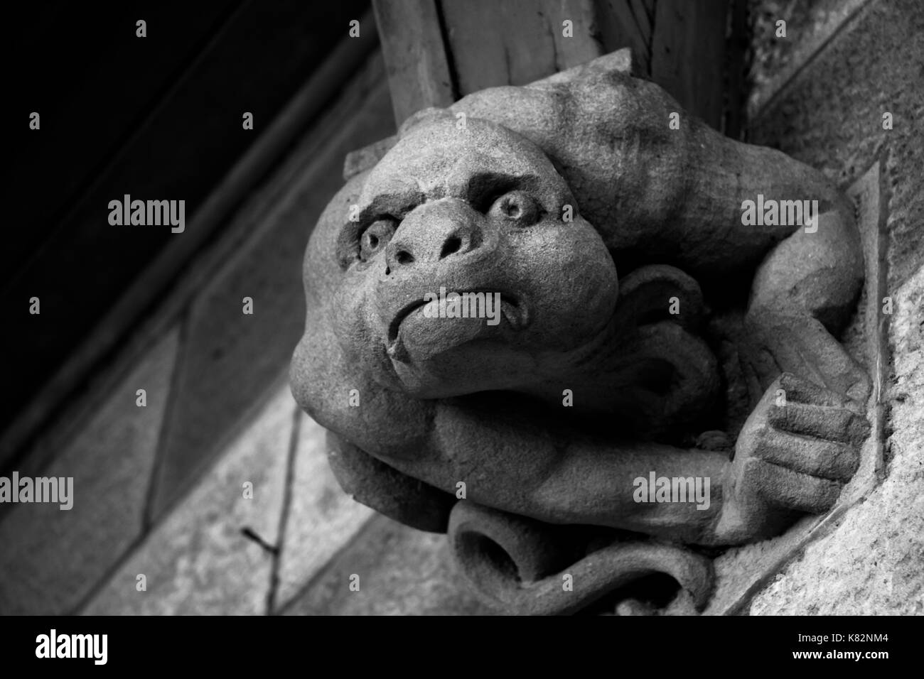 Gargoyle Black and White Stock Photos & Images - Alamy