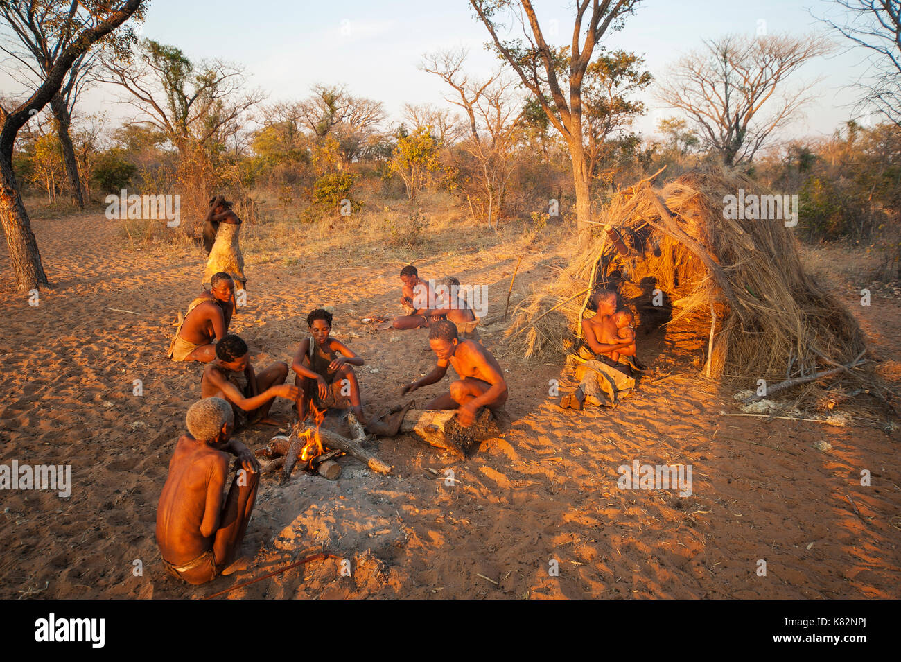 Ju/'Hoansi or San bushmen hunter gathering around camp fire at their ...