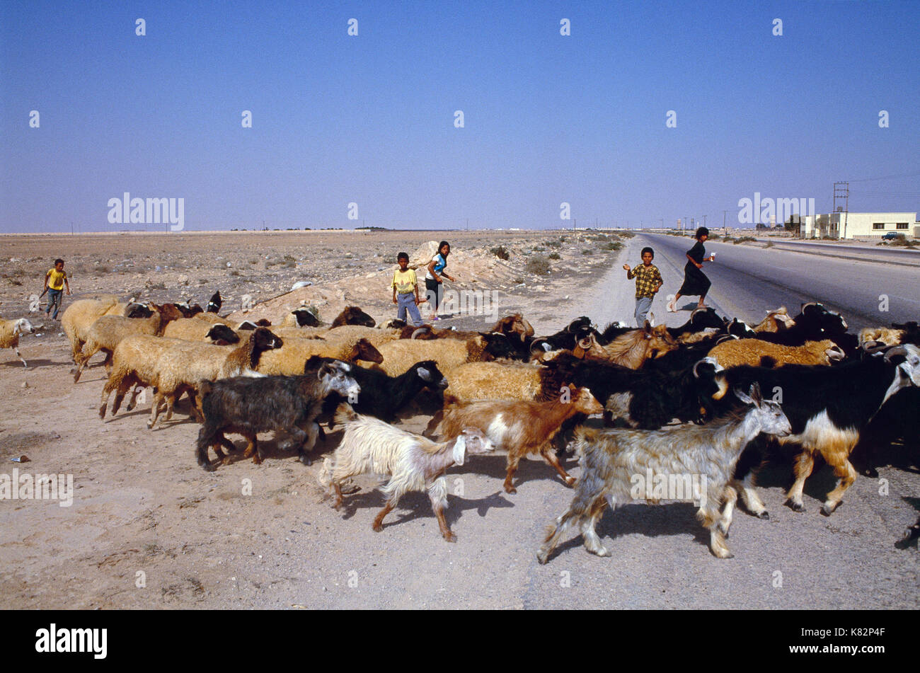 north coast of libya --the arid, desert northern area of eastern libya ...