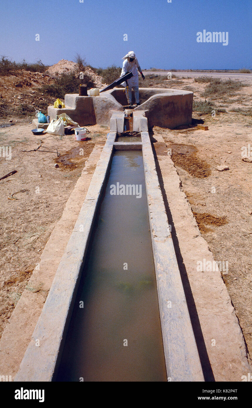 north coast of libya --a rare water well in the arid, desert northern ...