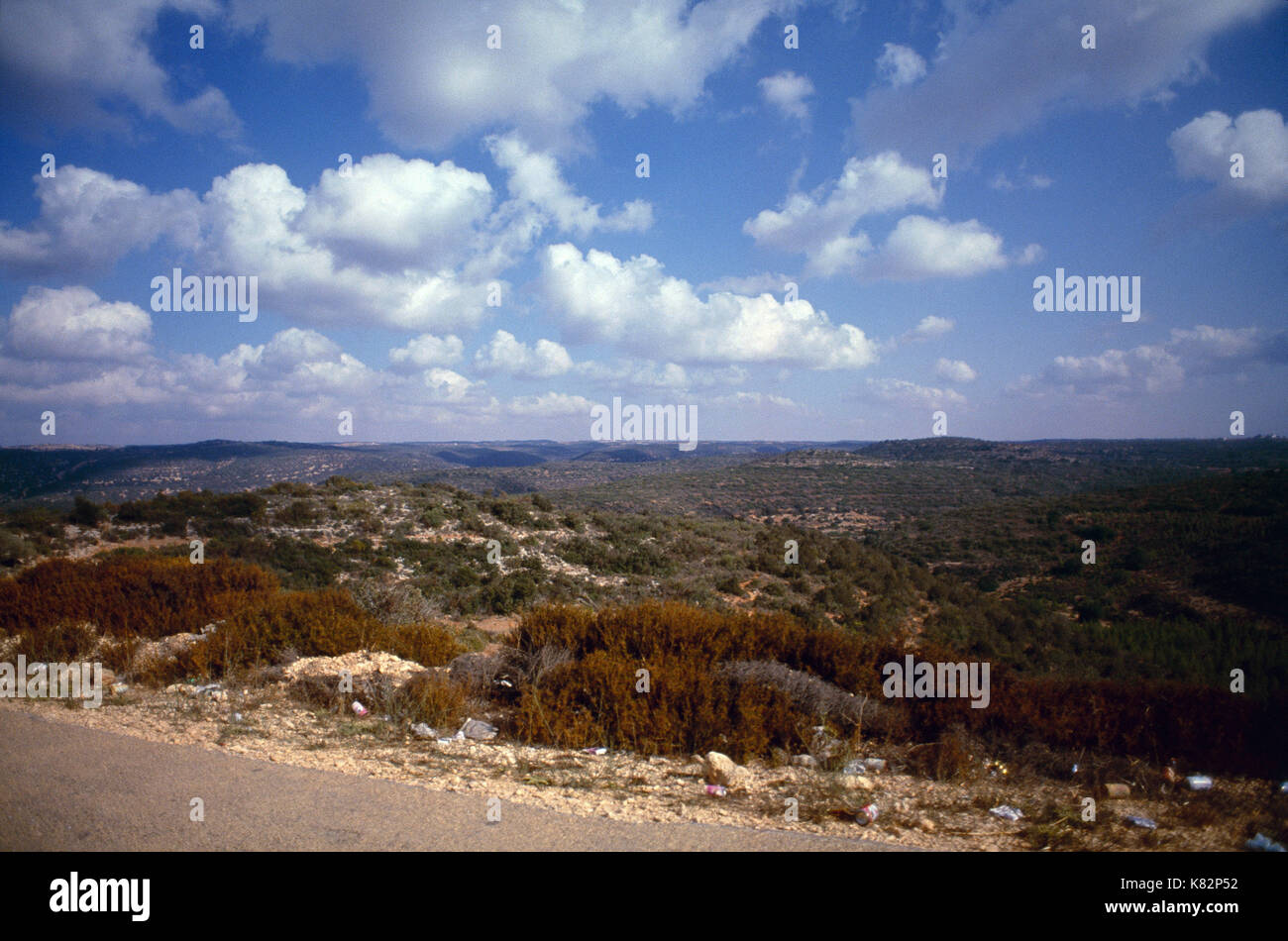 Libyan fertile soil hi-res stock photography and images - Alamy
