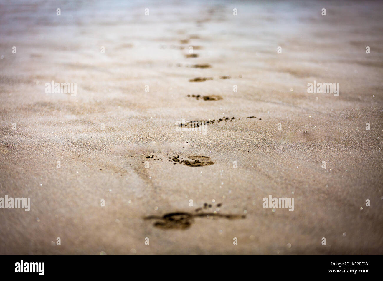 Footsteps on sand Stock Photo - Alamy