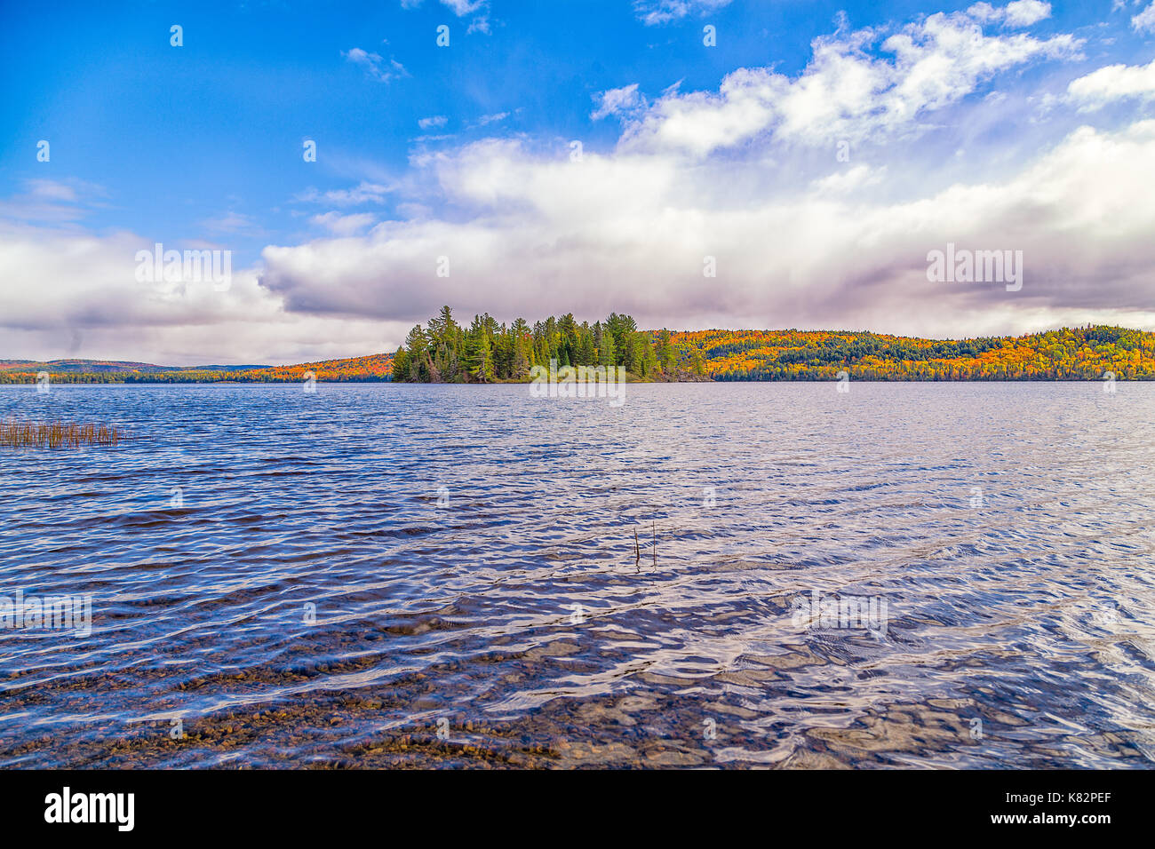 Maple trees lake michigan hi-res stock photography and images - Alamy