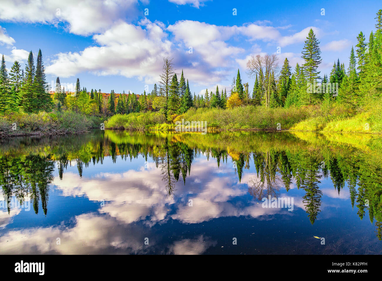 Fall Trees with reflection Stock Photo - Alamy