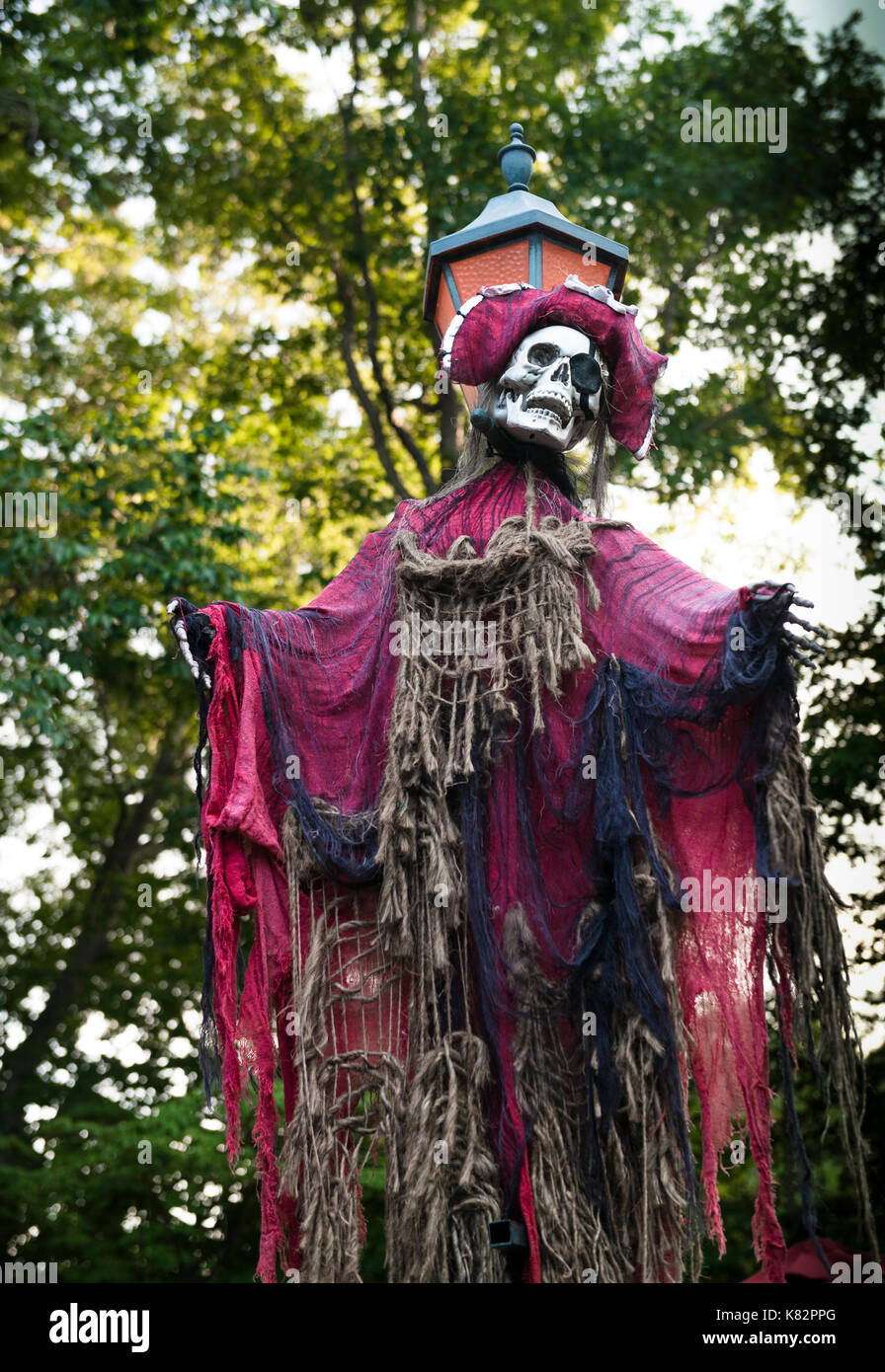 Skeleton in robes hi-res stock photography and images - Alamy