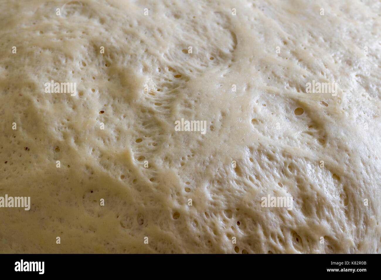 Surface of the risen dough close up Stock Photo - Alamy