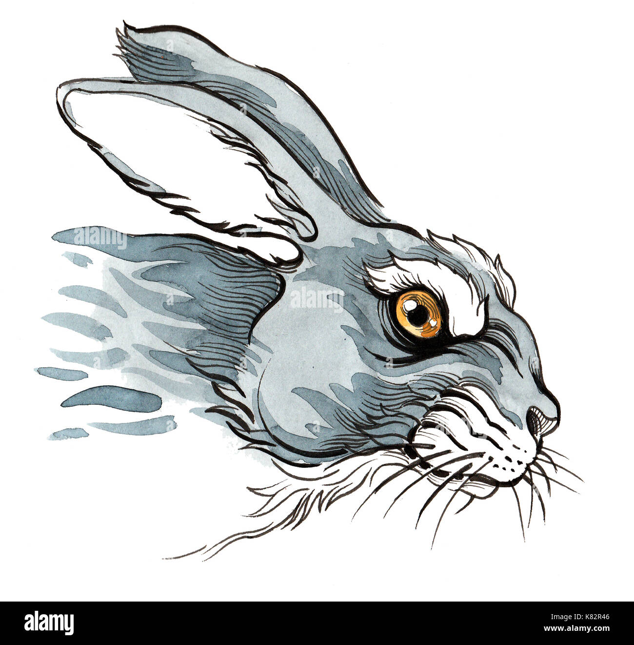 Angry And Rabbit Stock Photos & Angry And Rabbit Stock Images - Alamy