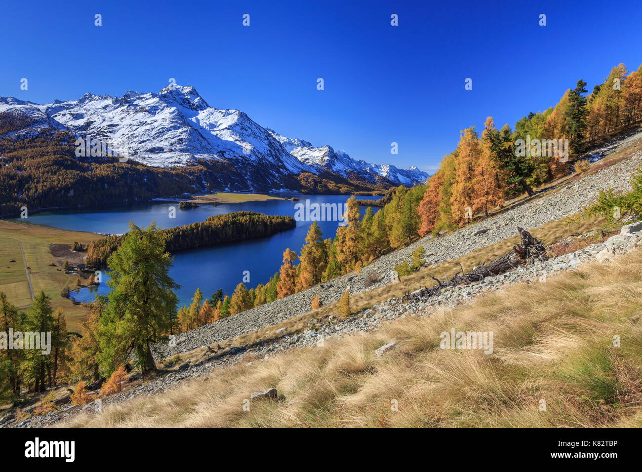 Lake sils in switzerland hi-res stock photography and images - Alamy