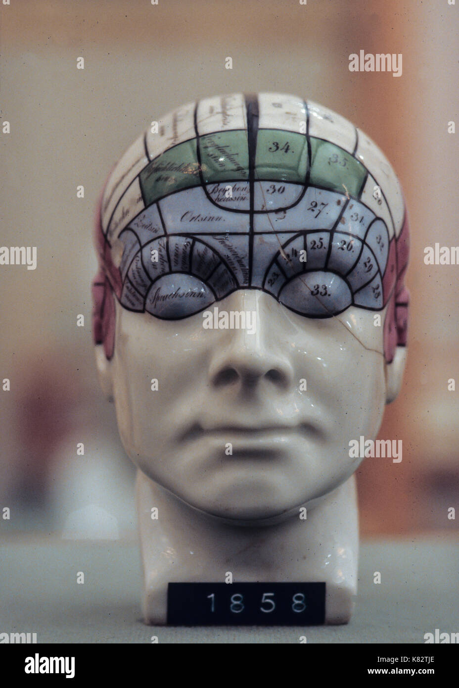 sigmund freud museum, vienna, austria Stock Photo - Alamy