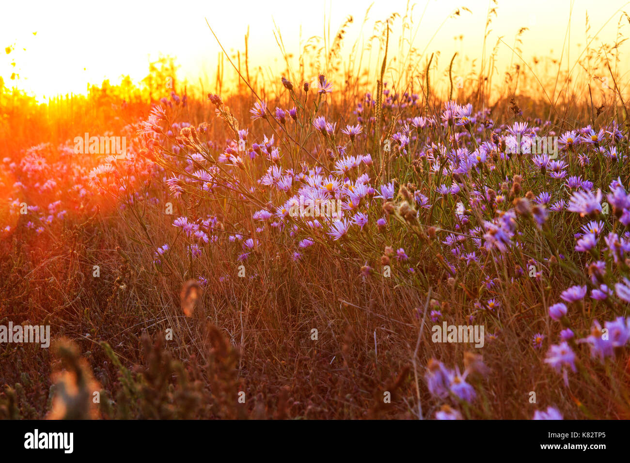Frames view of beautiful countryside hi-res stock photography and ...