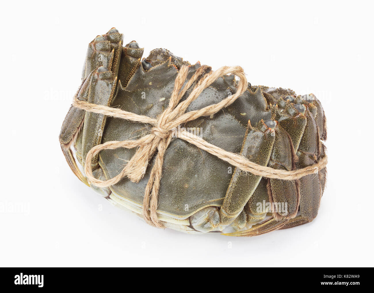 Perfect Crab isolated on white background with clipping path in full ...
