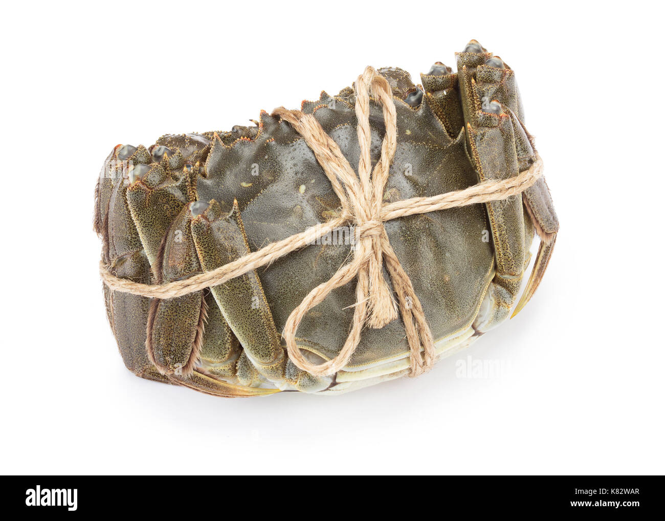 Perfect Crab isolated on white background with clipping path in full ...