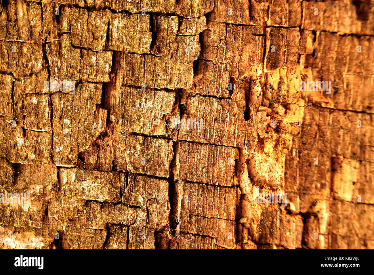 The old wood texture with natural patterns and cracks on the surface as ...