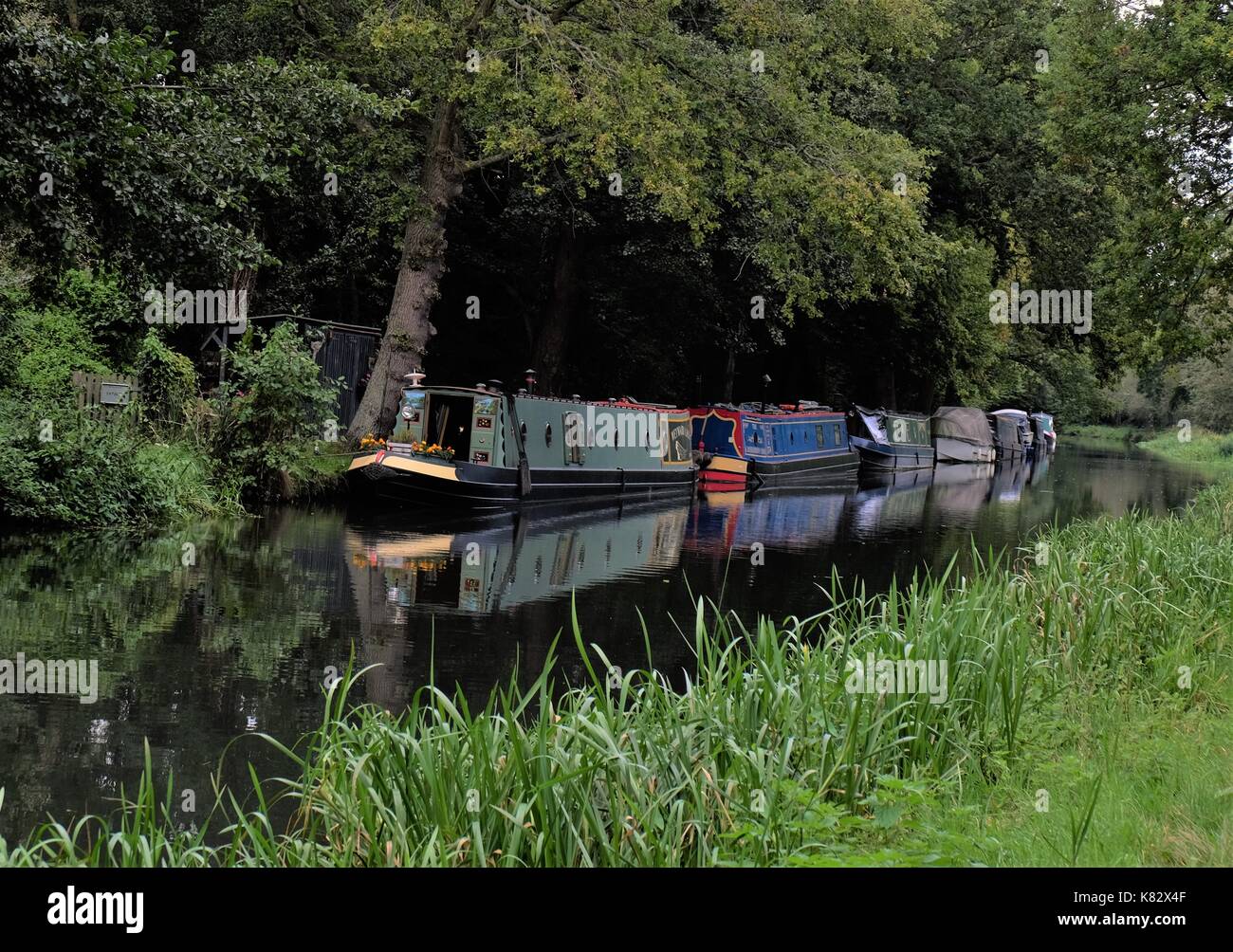 barge on river Wey canal boat Stock Photo - Alamy