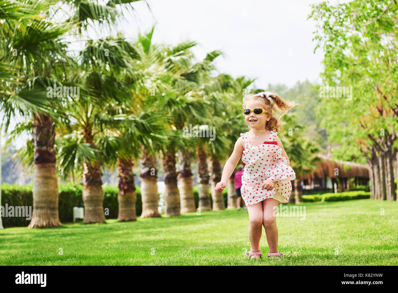 Little Palm Tree High Resolution Stock Photography and Images - Alamy