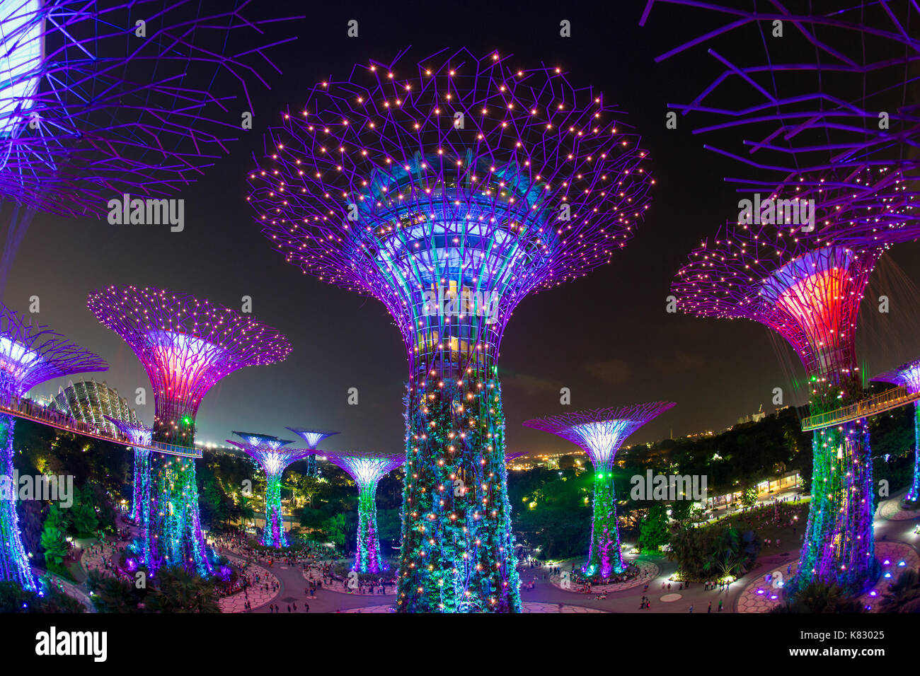 Supertrees at Gardens by the Bay, illuminated at night, Singapore ...