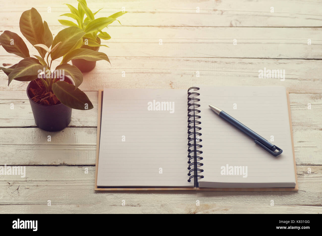Open book lined paper on the table with pen Stock Photo - Alamy